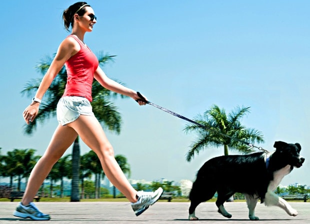 Caminhar É Um Exercício Aeróbico Gratuito Que Faz Bem À Saúde